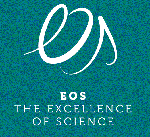 The De Feyter group homepage!